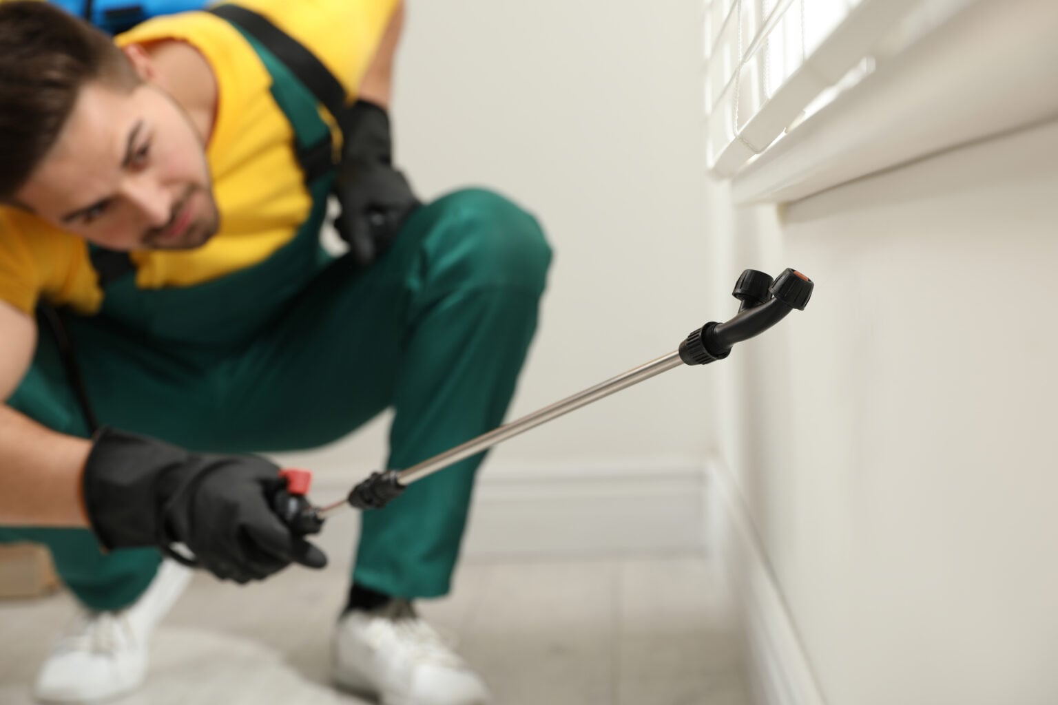 How Much Does Pest Control Cost in BC? 2026 Pricing Guide - Canadian ...